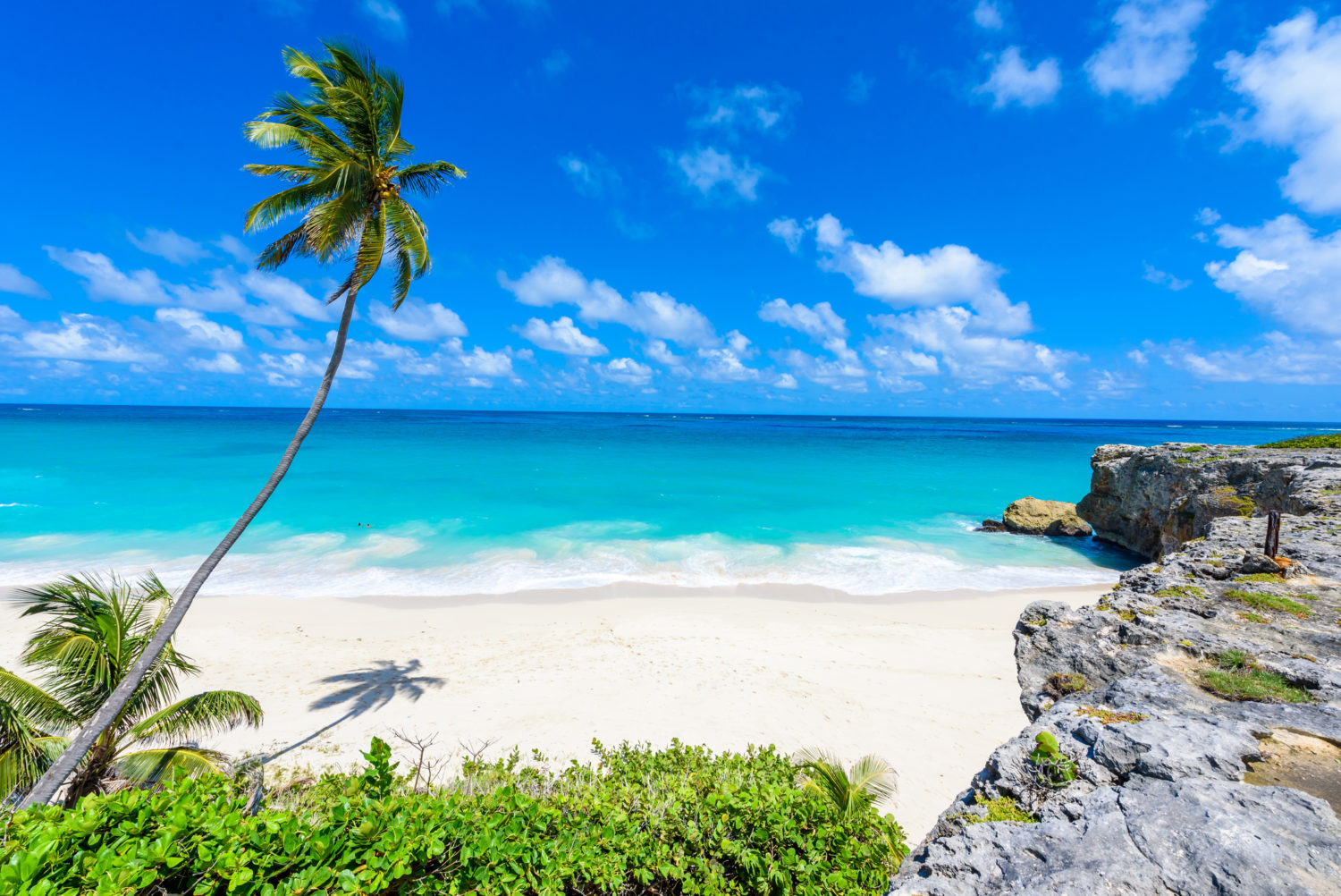 Barbados 43 Amazing Things To Do 2023 Barbados 43 Amazing Things To Do 2023