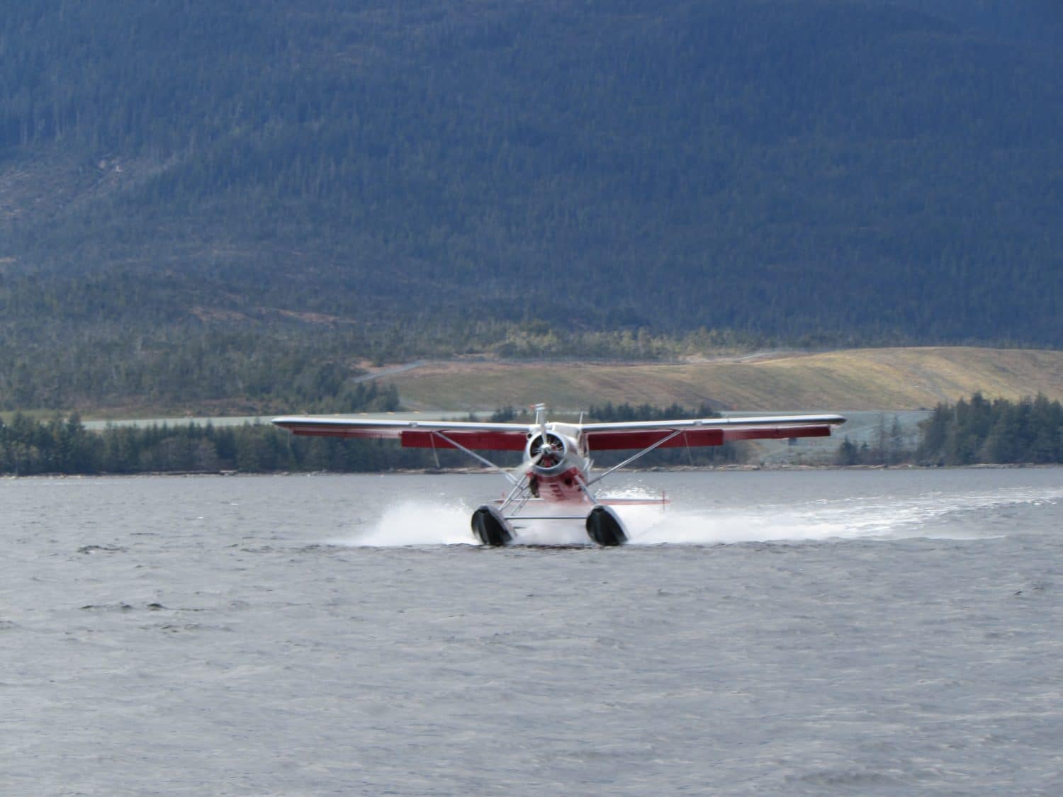 Five Cruise Ship Passengers Killed in Floatplane Accident in Alaska